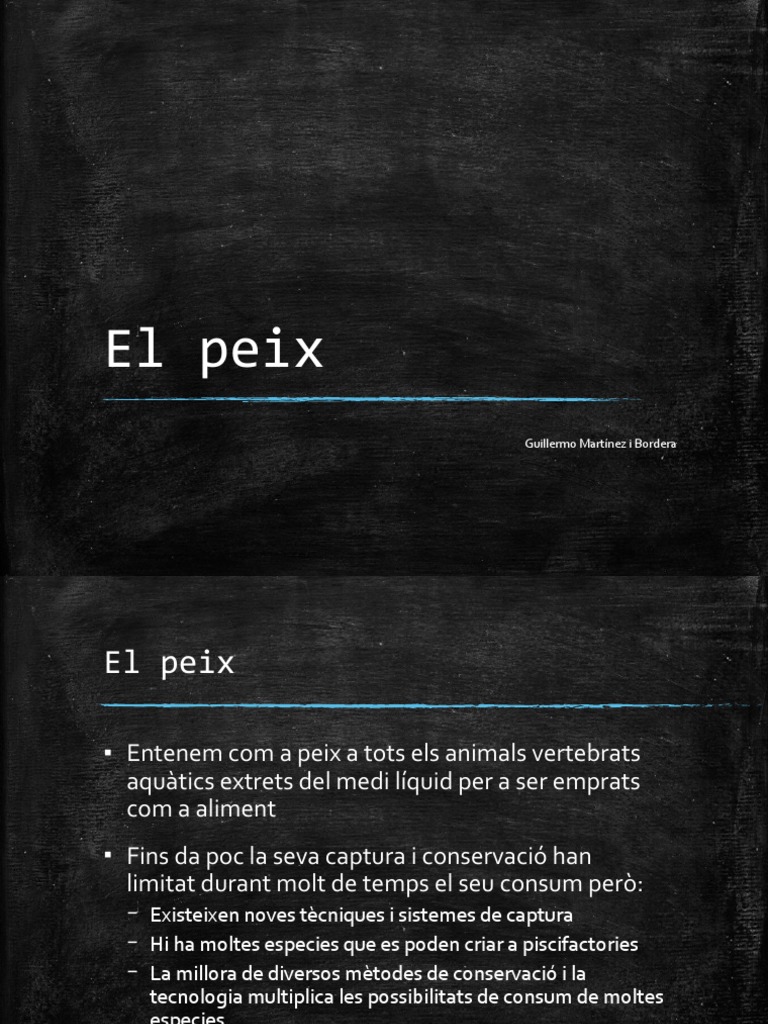 El Peix | PDF