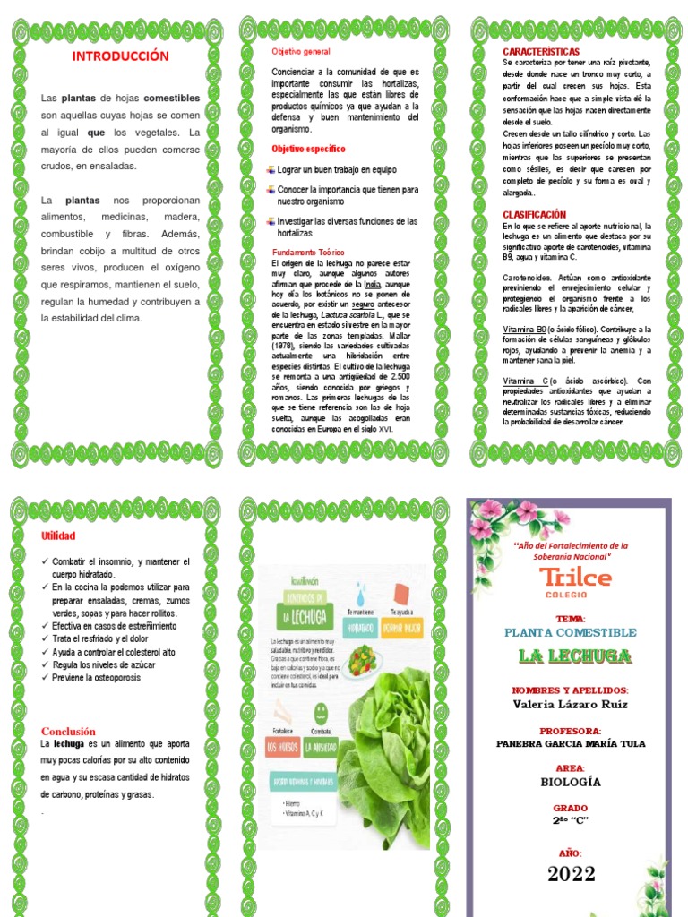 Triptico Lechuga | Descargar gratis PDF | Alimentos | Hoja