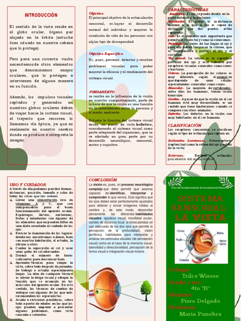TRIPTICO LA Vista Vanesa | PDF | Percepción visual | Ojo