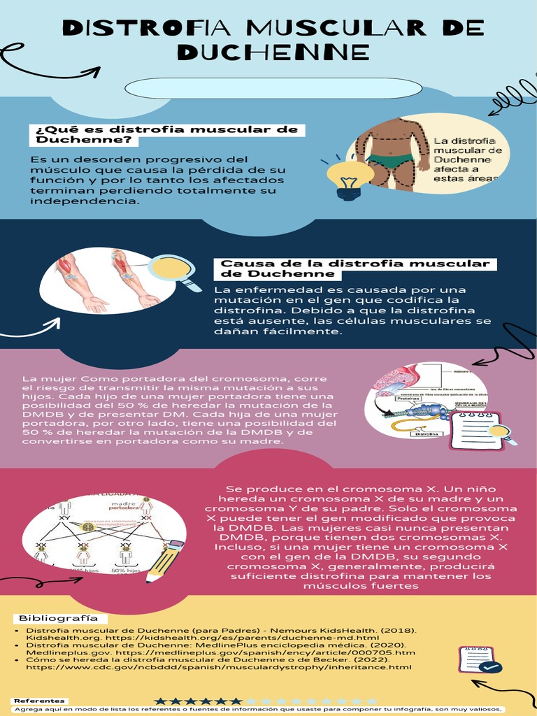 Causas de la Distrofia Muscular de Duchenne | PDF | Epidemiología ...