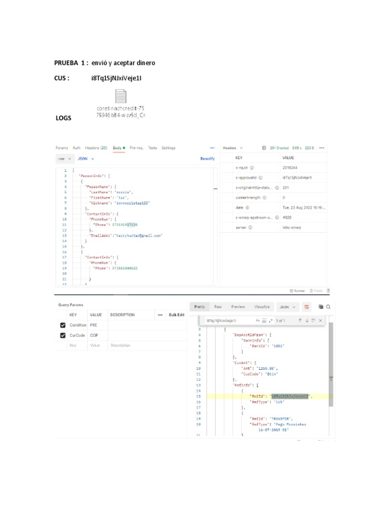 Validacion Transfiya | PDF | Computer Data | Computing