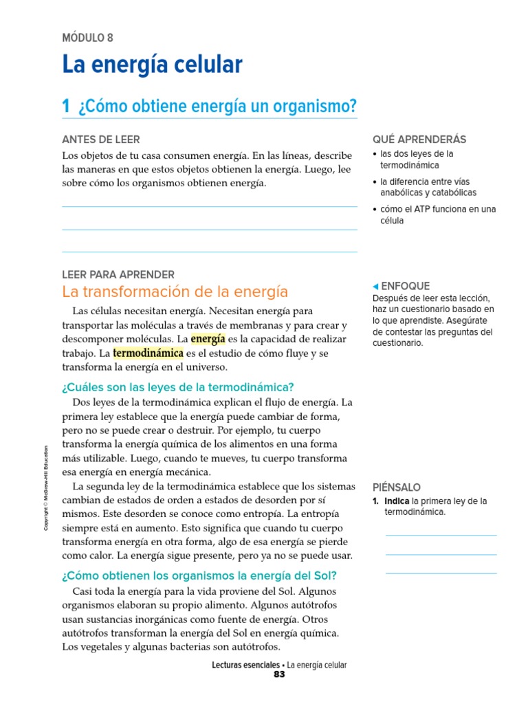 Reading Essentials Spanish High School Science | PDF | Respiración ...