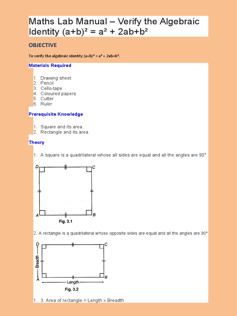 CLASS 9 Maths Lab ACTIVITY 1 | PDF | Rectangle | Area