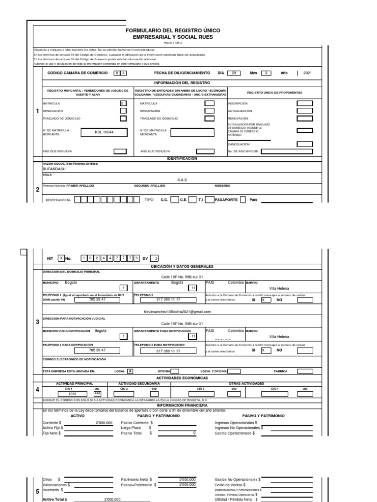 2.3_REGISTRO ÚNICO EMPRESARIAL Y SOCIAL (RUES) | PDF | Hoja de balance | Economias