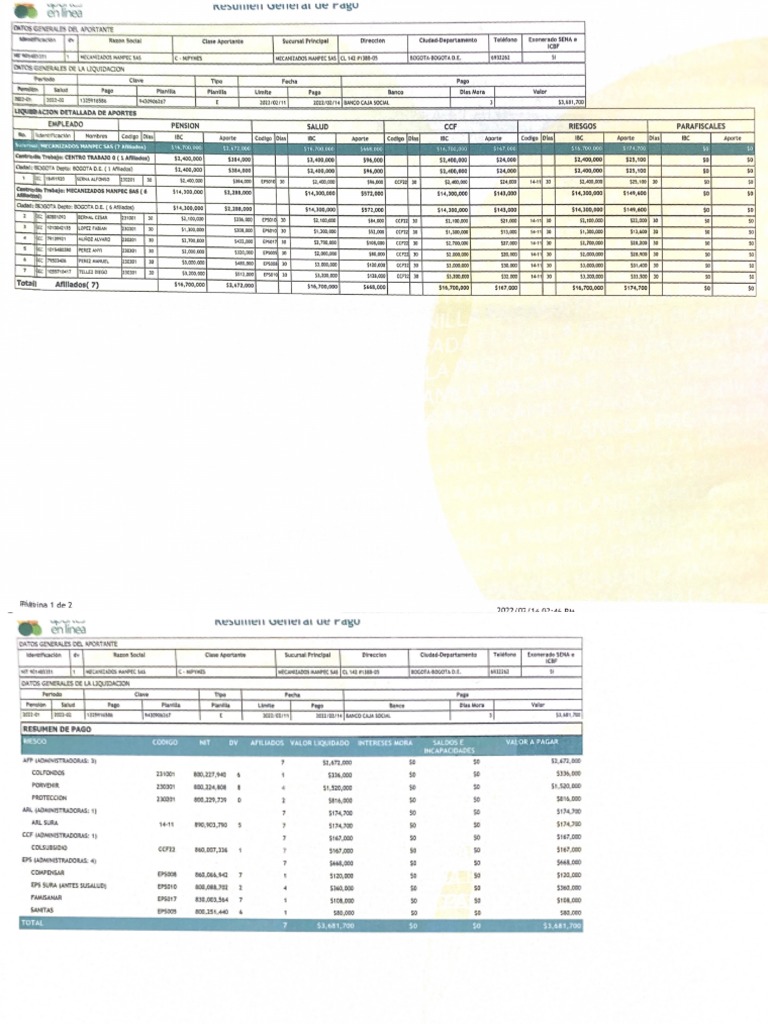 Planilla Seguridad Social | PDF