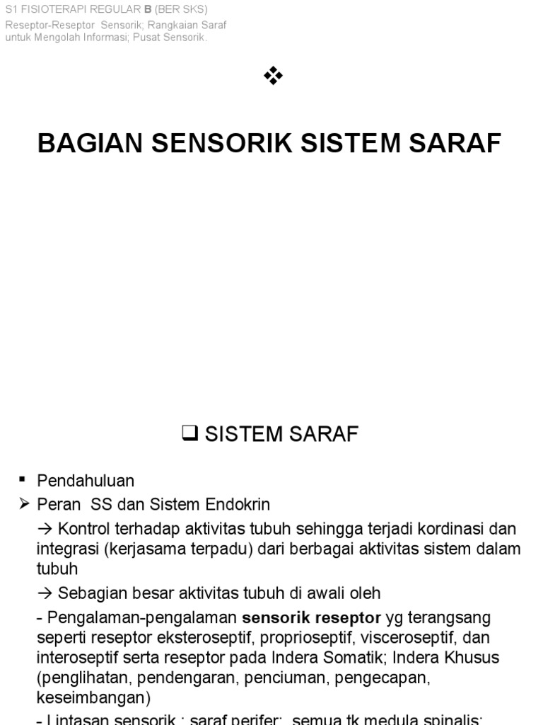 Fisioterapi B Bagian Sensorik - Reseptor Sensorik SS | PDF