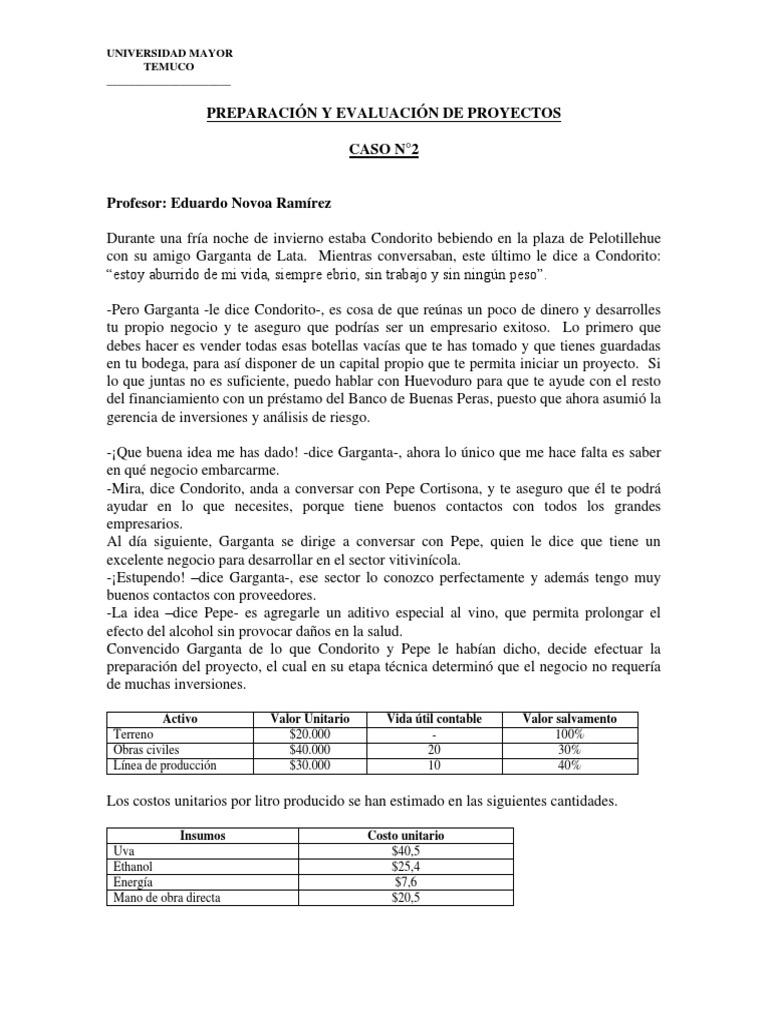 Caso N°2 | PDF | Vino | Economias