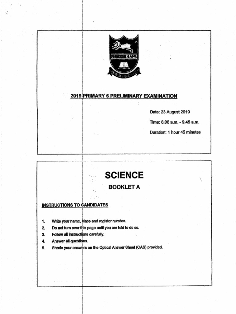 P6 Science SA2 2019 Tao Nan Exam Papers | PDF