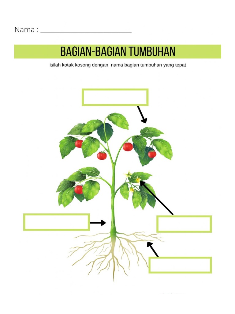 Tugas IPAS | PDF Tugas IPAS | PDF