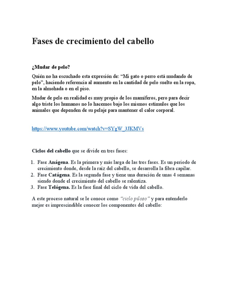 03 Sesion Fases Del Cabello | PDF | Pelo | Piel