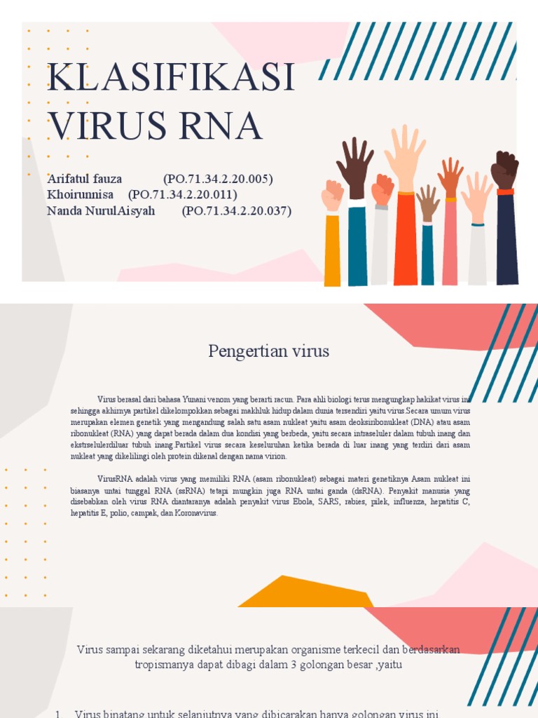 VIROLOGI Kel 7 KLASIFIKASI VIRUS RNA | PDF