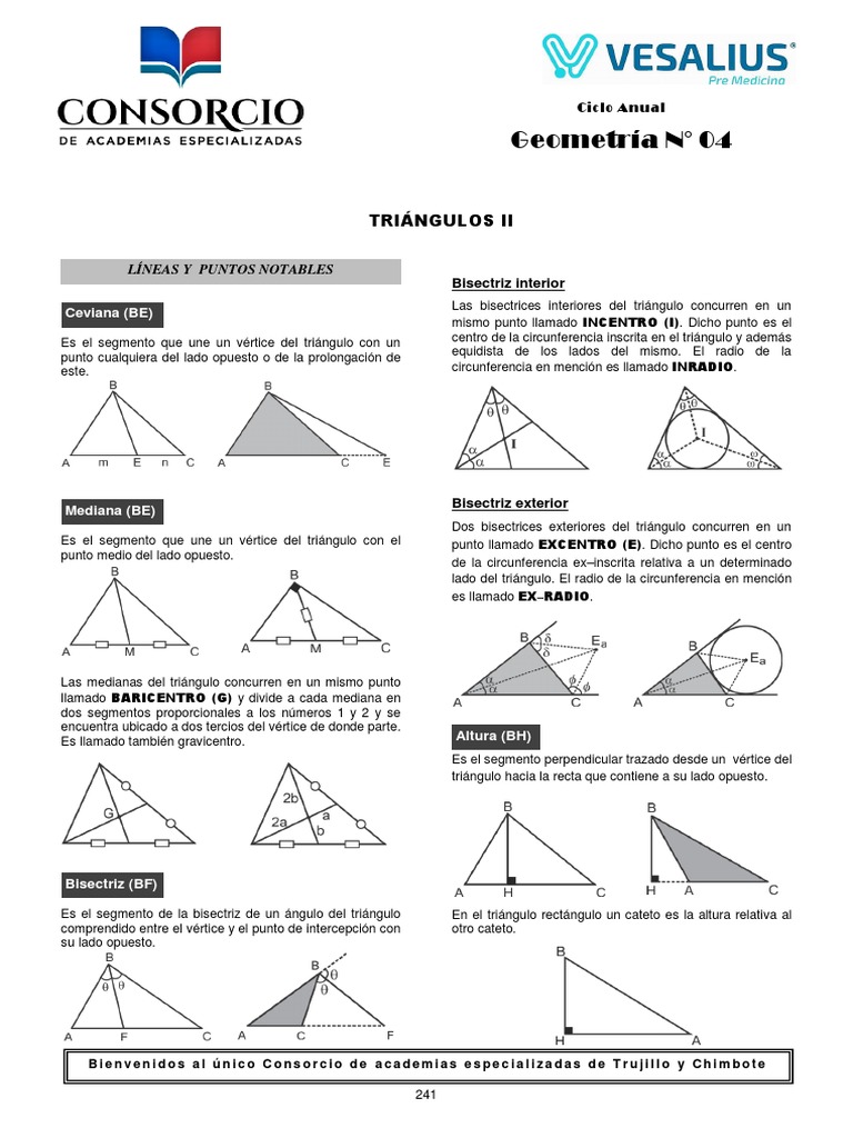 6 Geometrìa PR | PDF | Triángulo | Geometría Elemental