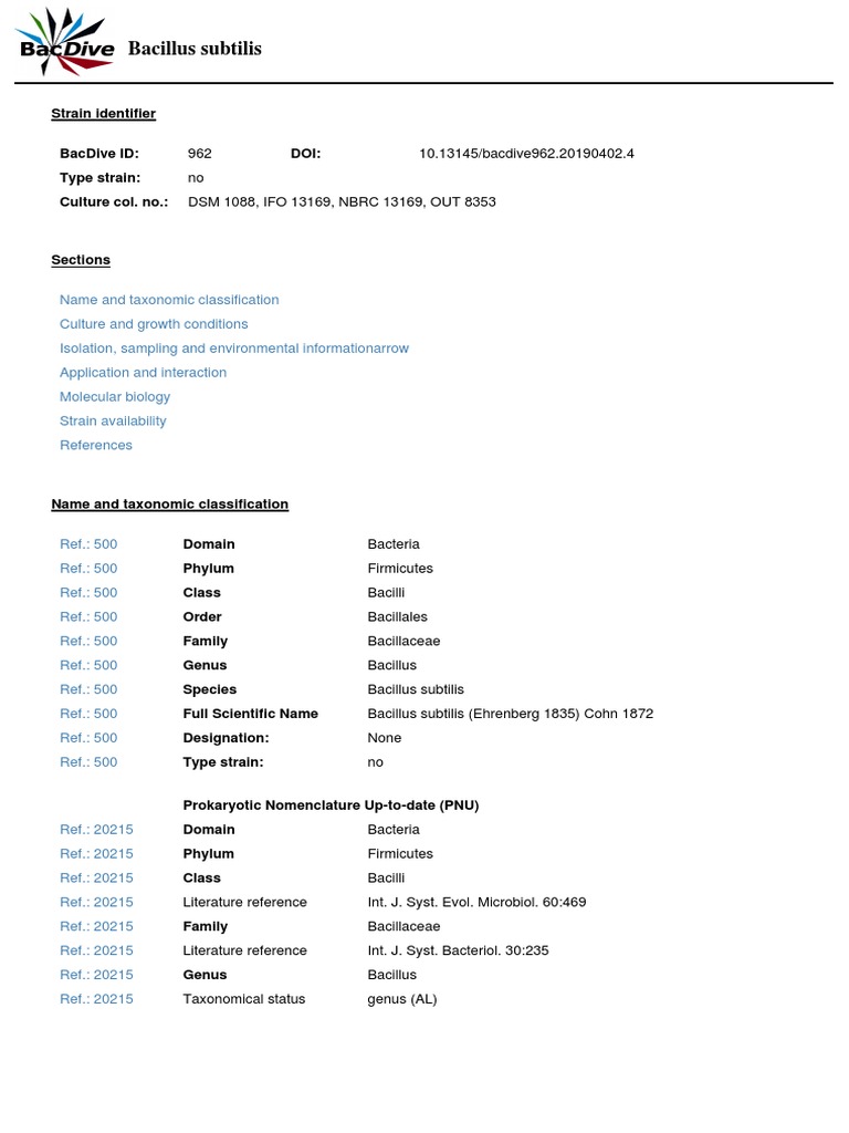 Bacillus Subtilis | PDF | Bacillus | Bacteria