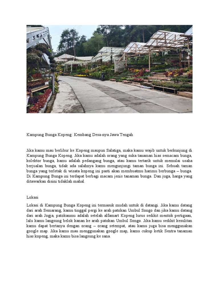 Kampung Bunga Kopeng: Kembang Desa Jawa Tengah (35 | PDF
