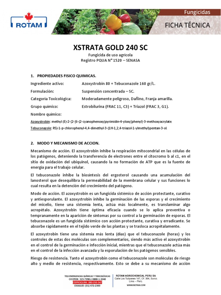FT Xstrata Gold | Descargar gratis PDF | Agricultura | Agua