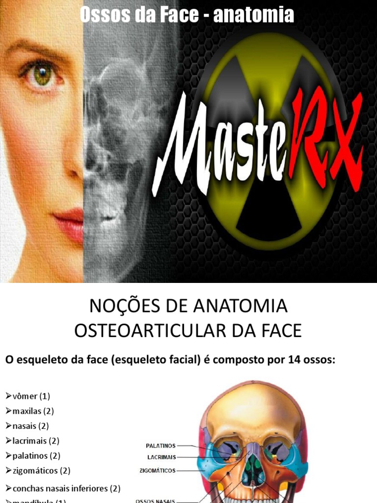 Anatomia Dos Ossos Da Face | PDF | Anatomia | Anatomia humana