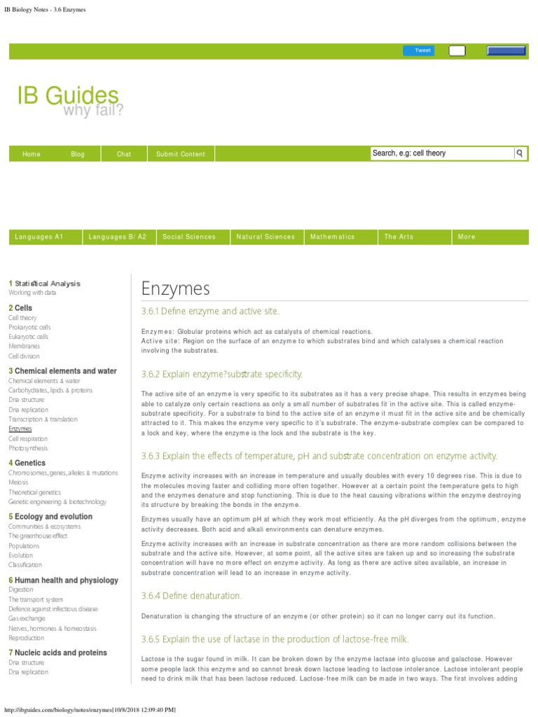 IB Biology Notes - 36 Enzymes | PDF | Enzyme | Cell (Biology)
