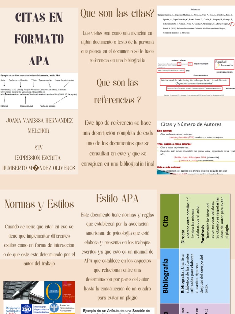 Citas en Formato Apa Triptico | PDF