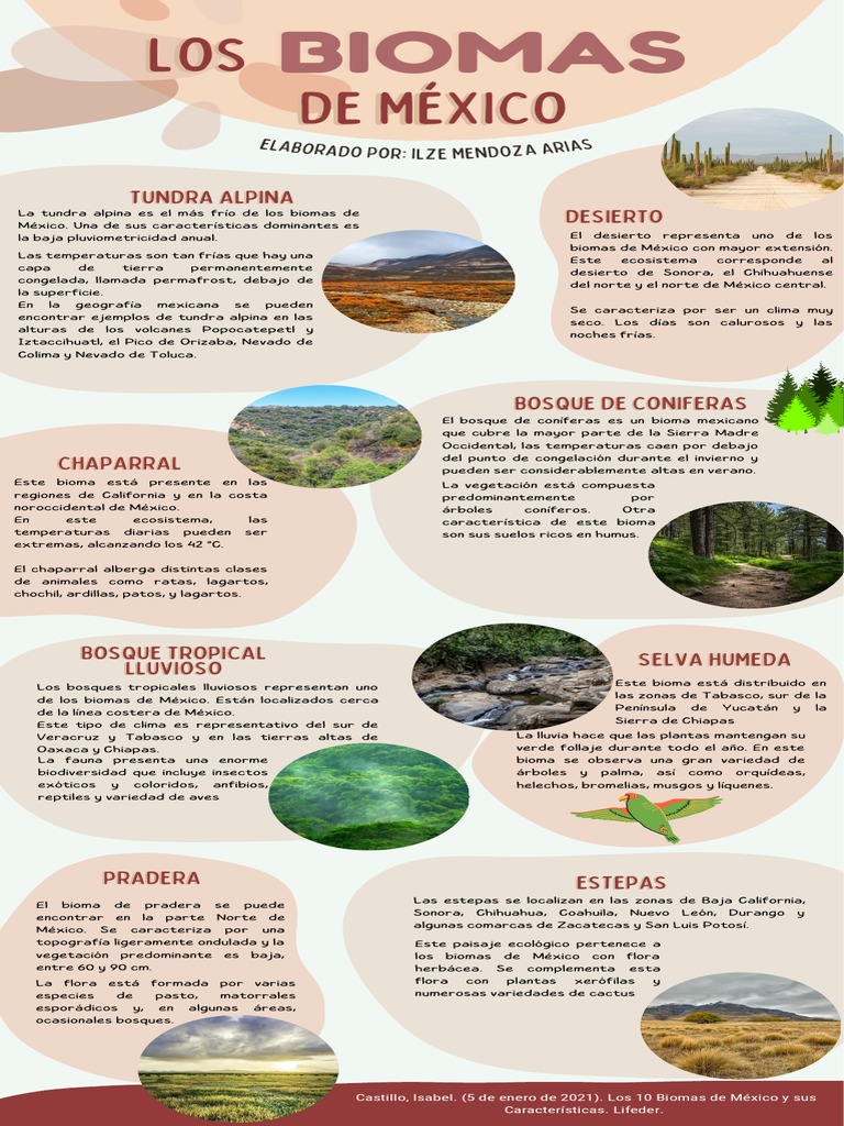 Biomas de Mexico | PDF | México | Desierto