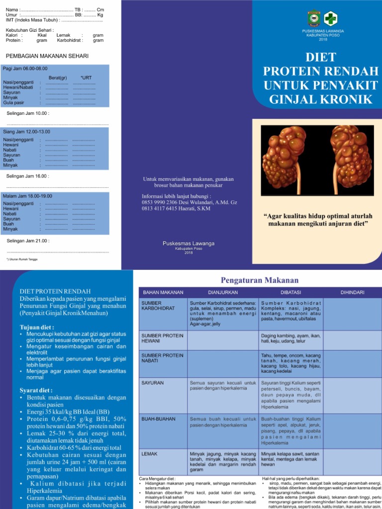 Brosur Diet Protein Rendah Untuk Penyakit Ginjal Kronik | PDF