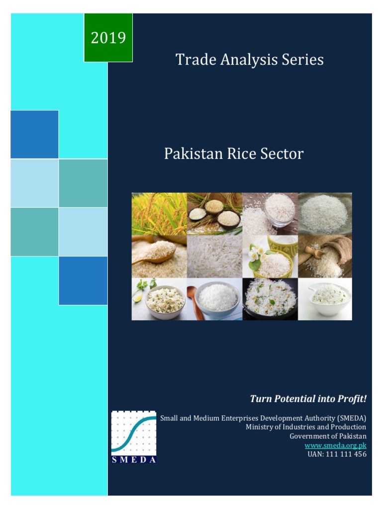 Rice Sector 2019 | PDF | Rice | Pakistan
