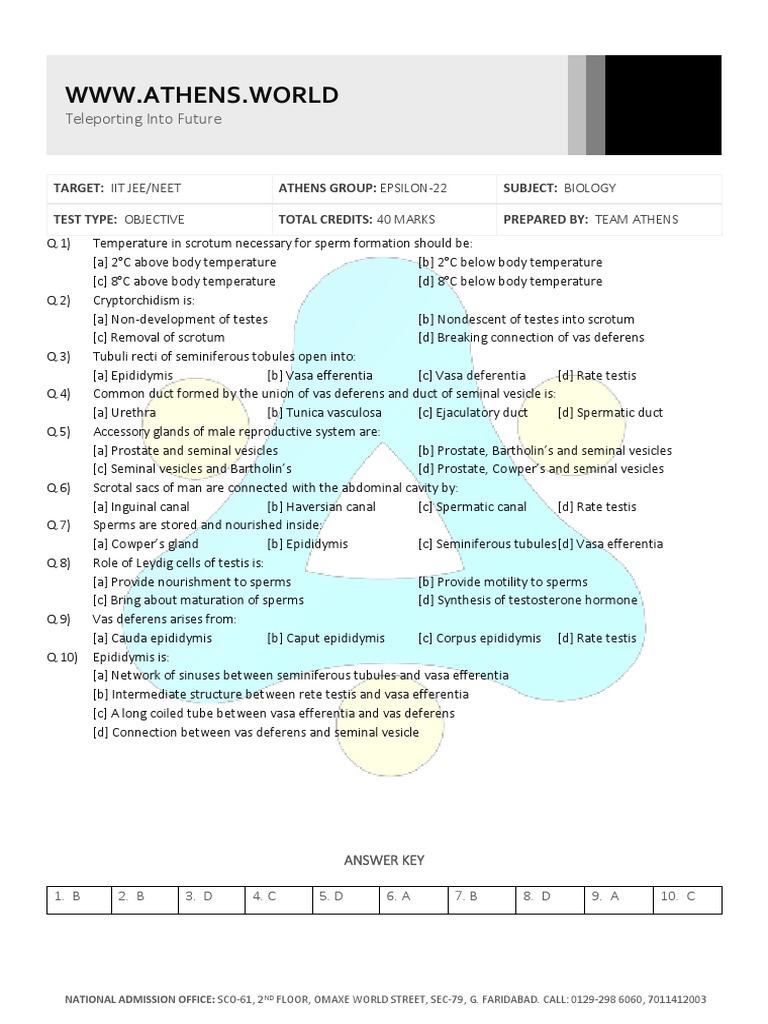 ATHENS: Class: 12, Topic: Human Reproduction | PDF | Testicle ...