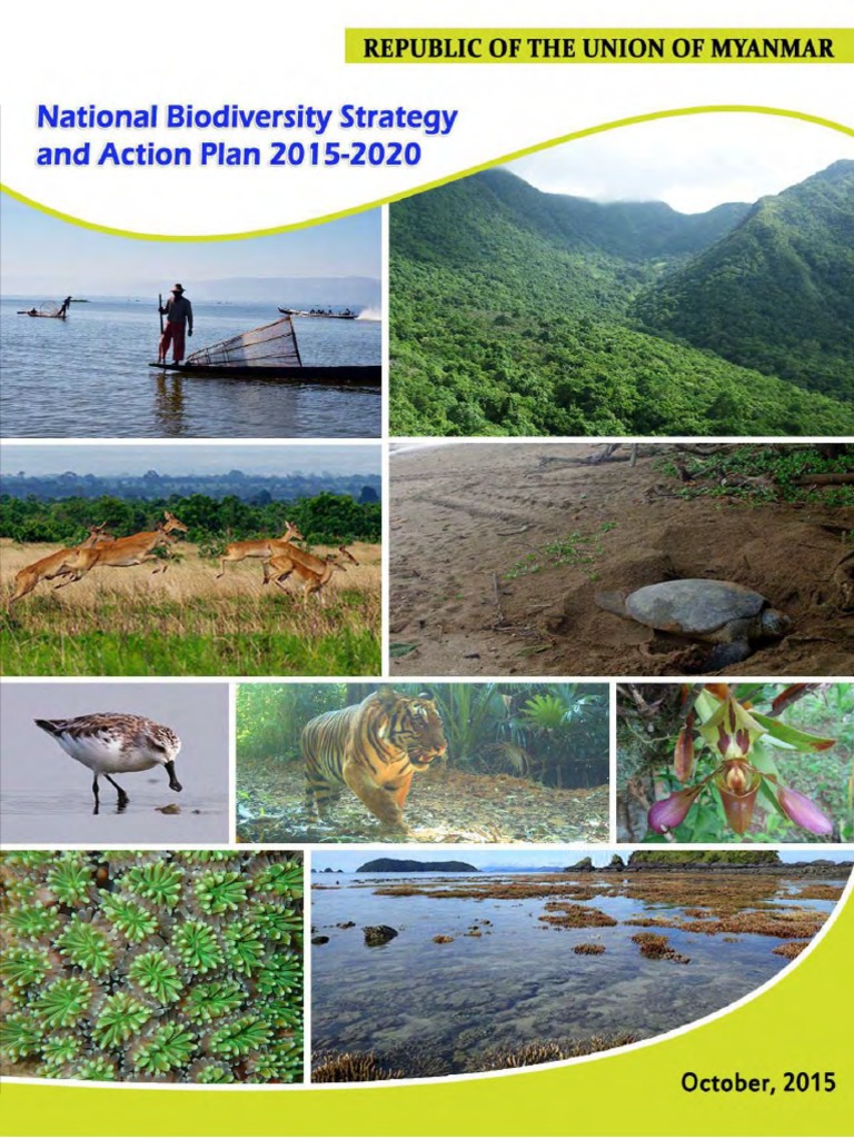 National Biodiversity Stategy and Action Plan 2015-2020 | PDF ...