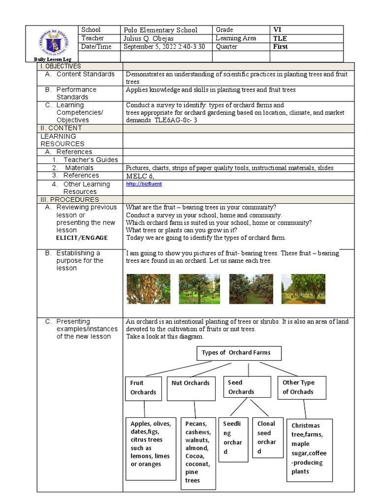 TLE 6 Week 3 Day 1 | PDF | Trees | Orchard
