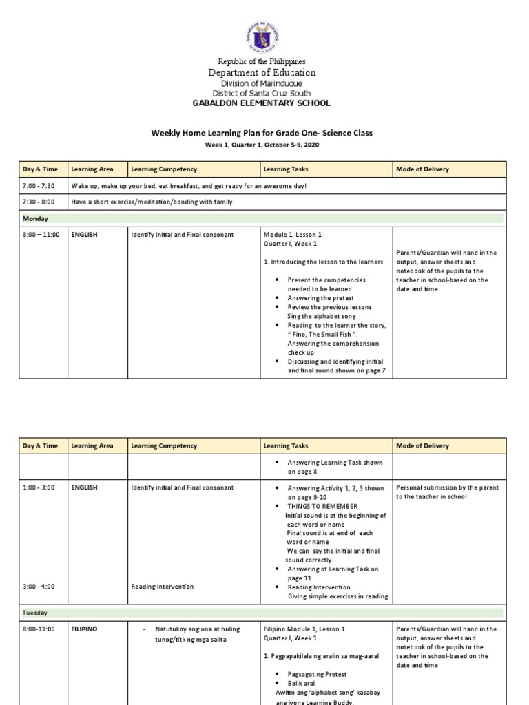 Grade 1 Weekly Home Learning Plan for Science Class | PDF | Behavior ...