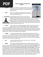 Geography Notes - Vulcanicity | PDF | Volcano | Lava