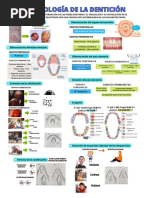 Musculos de La Nuca | PDF | Anatomía humana | Sistema musculoesquelético