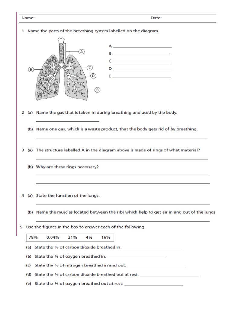 PTS Revision - 3 Yr 7 | PDF