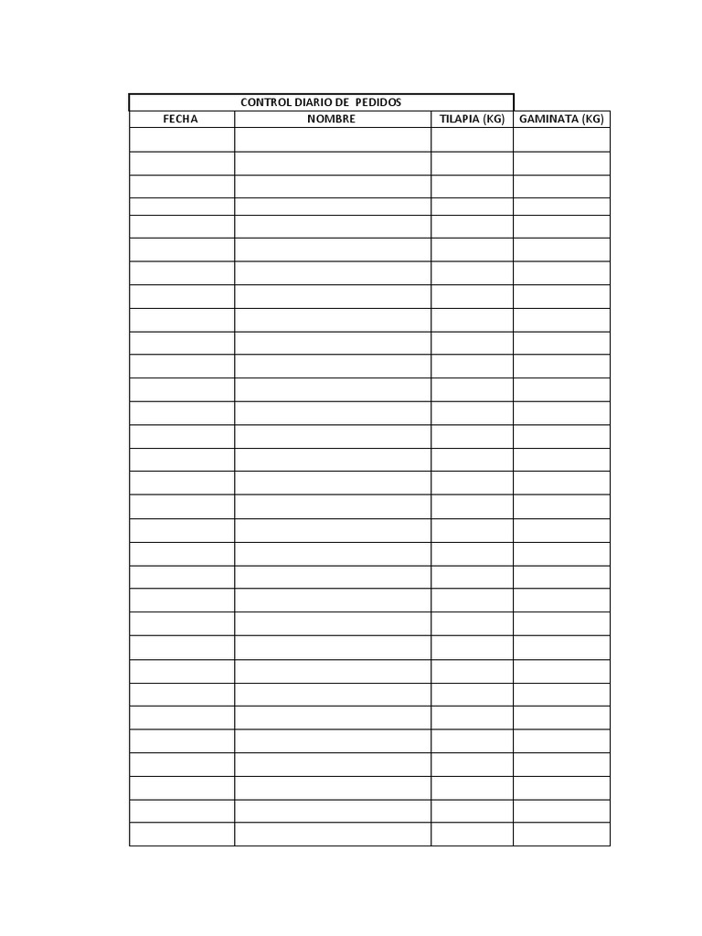 Conrtrol Diario de Pedido | PDF