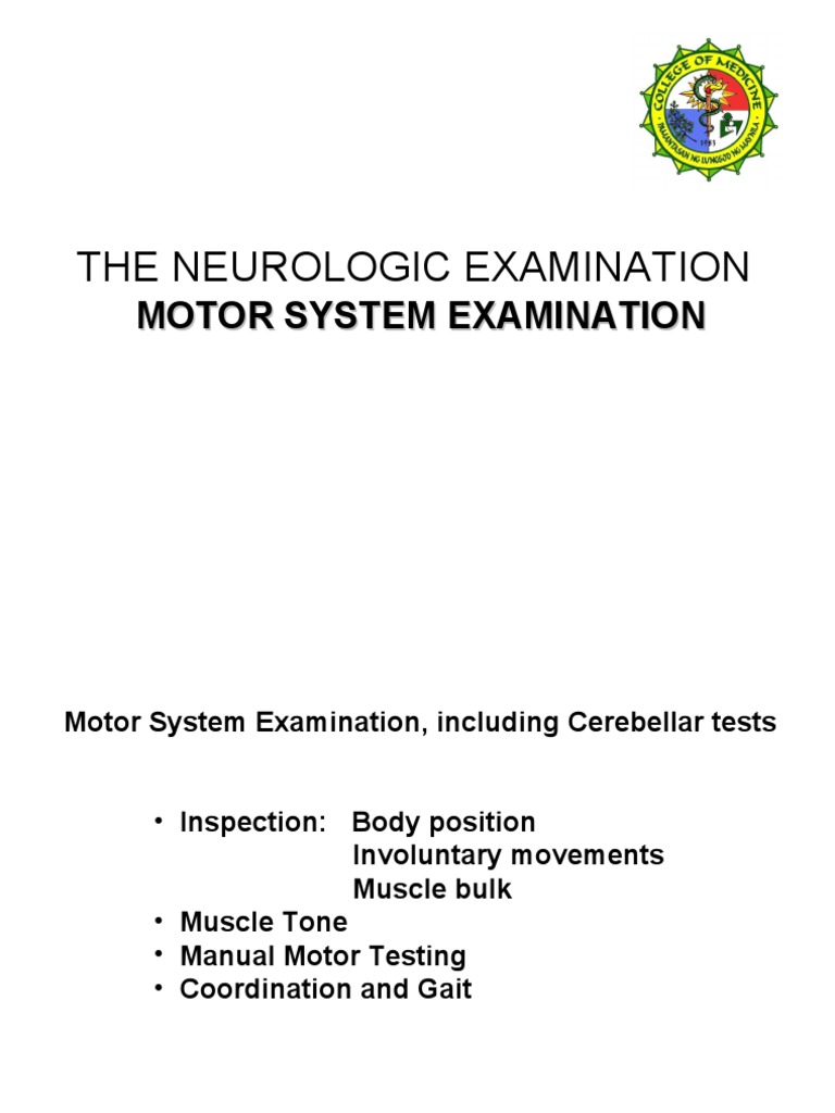 Motor Testing | PDF | Spinal Cord | Elbow