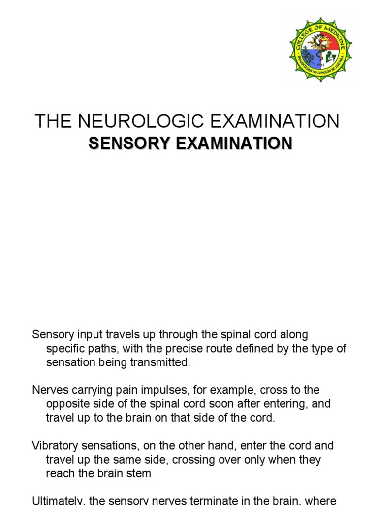 Sensory Exam | PDF | Peripheral Neuropathy | Somatosensory System