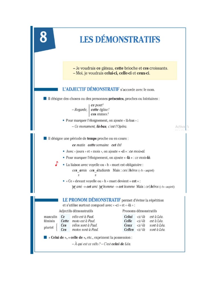 Leçon 8 - Les Démonstratifs | PDF