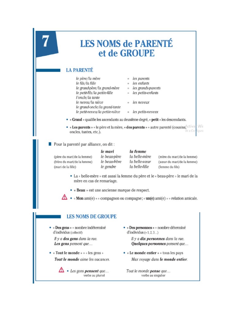 LEÇON 7 - LES NOMS de PARENTÉ Et de GROUPE | PDF
