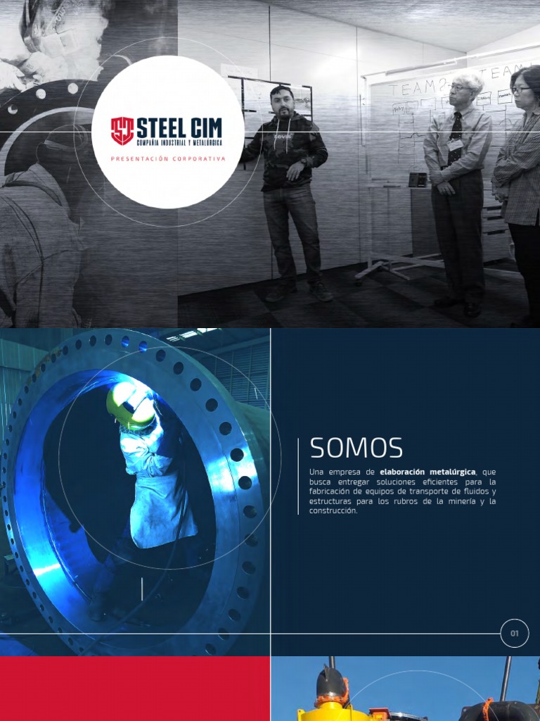 STEEL CIM Brochure - Light | PDF | Business | Economias