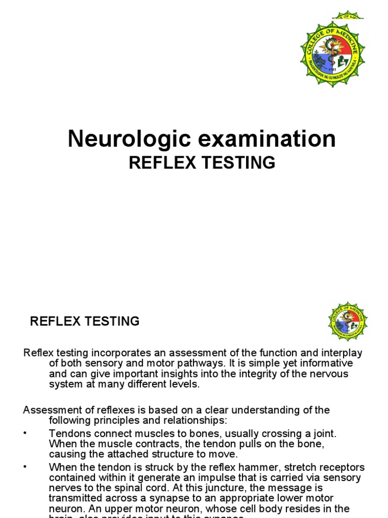 Reflex Testing | PDF | Arm | Anatomical Terms Of Motion