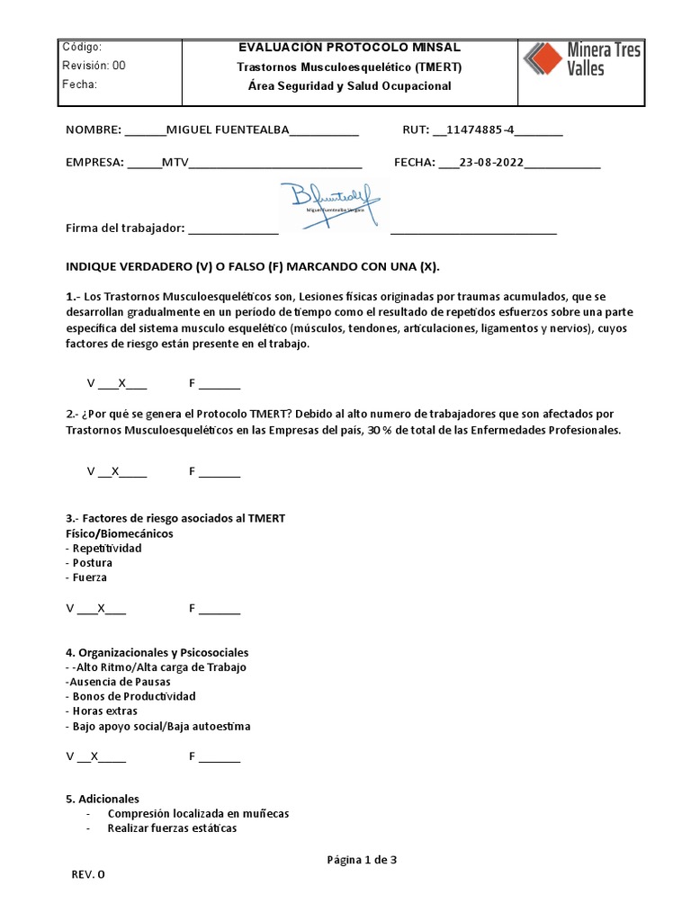 2.5. Evaluación Protocolo Minsal TMERT | PDF