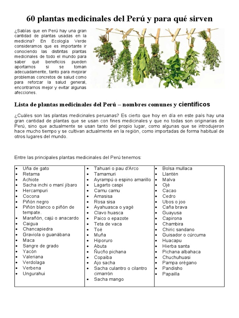 Recurso Sesion 9 Comunicacion Lectura 60 Plantas Medicinales Del Perú | PDF