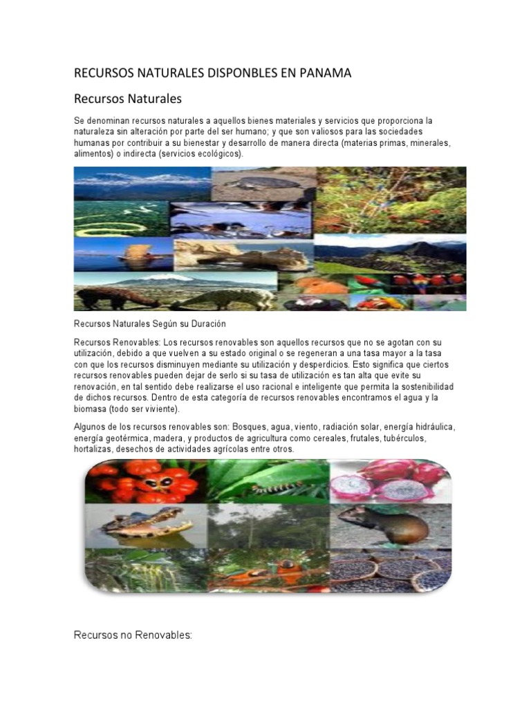 Trabajo # 5 RECURSOS NATURALES DISPONBLES EN PANAMA | PDF | Energía ...