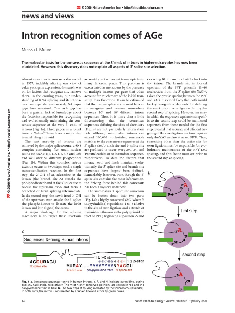 Content Server | PDF | Rna Splicing | Alternative Splicing