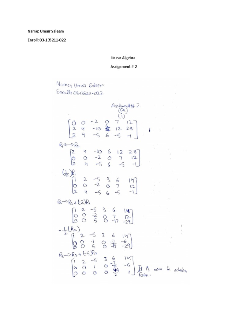 LA Assignment 2 | PDF