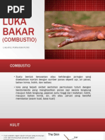 Materi Luka Bakar | PDF