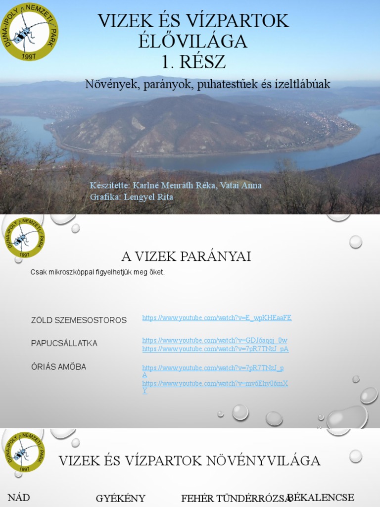 Vizek Es Vizpartok Elovilaga 1 drfb8vz3 | PDF