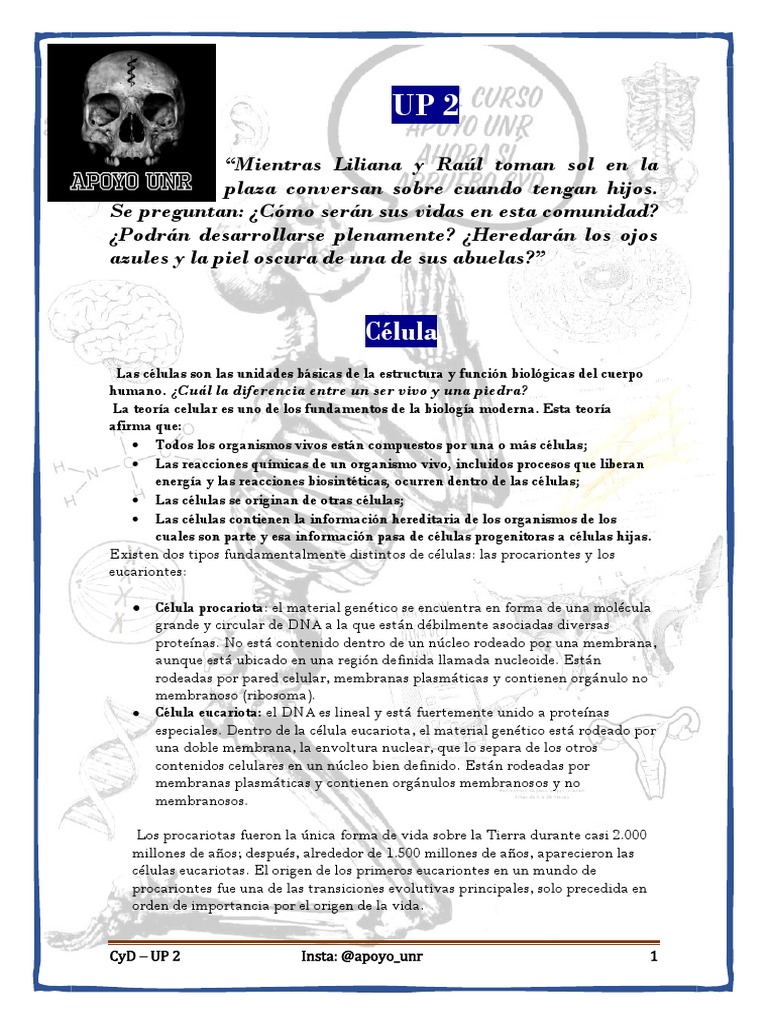 UP2 - CyD 2020 | PDF | Mitosis | Traducción (biología)