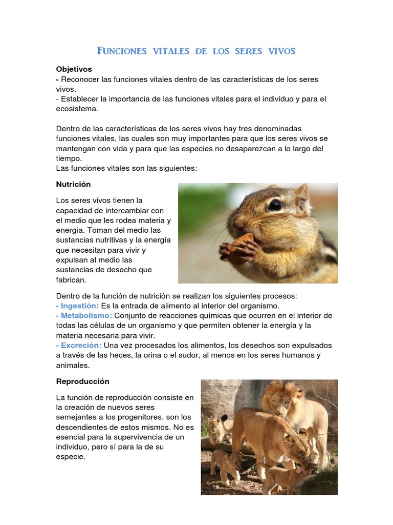 Funciones Vitales de Los Seres Vivos | PDF | Organismos | Nutrición
