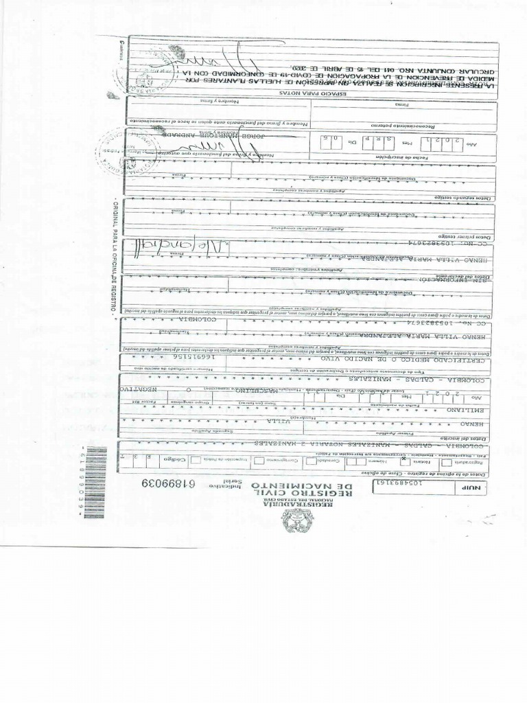 Documentos Alejandra | PDF