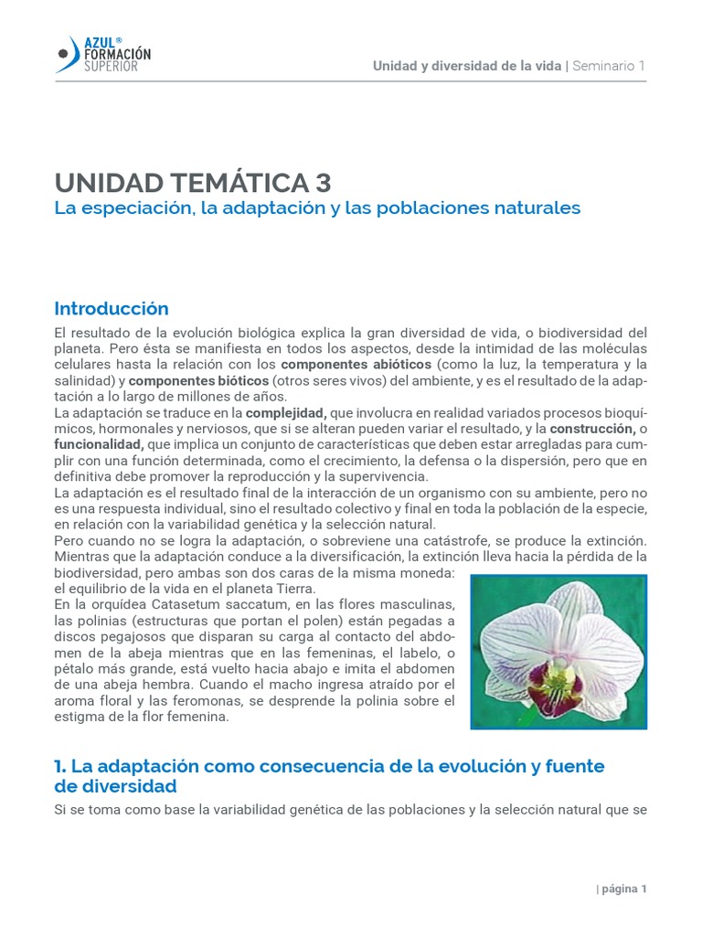 Unidad Tematica 3 Bio | PDF | Evolución | Alelo